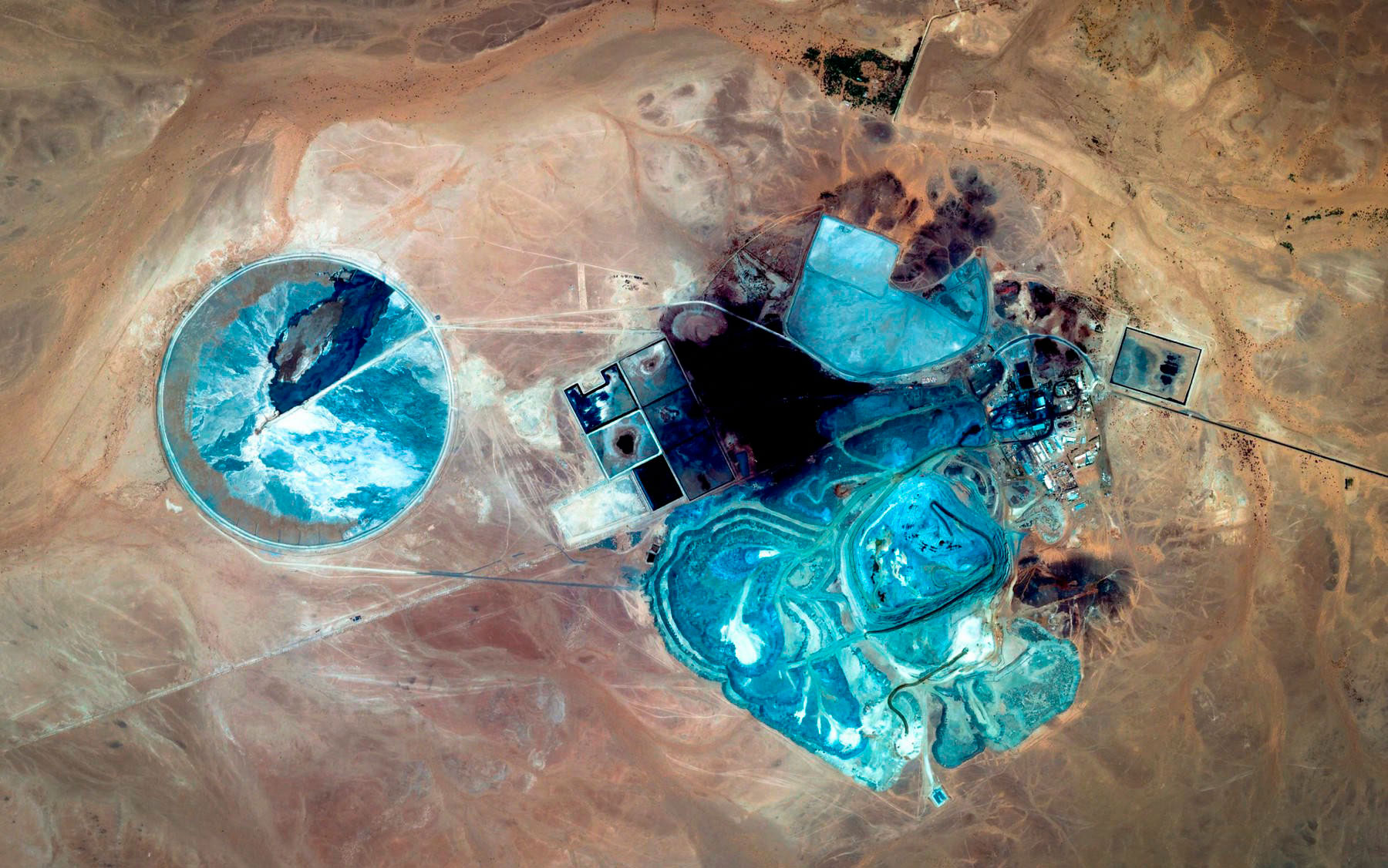 Managing Brand Consistency Across Borders | MadeBrave®