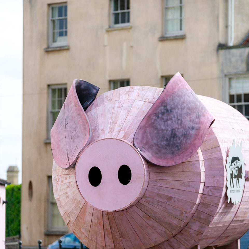 Orchard Pig | MadeBrave®