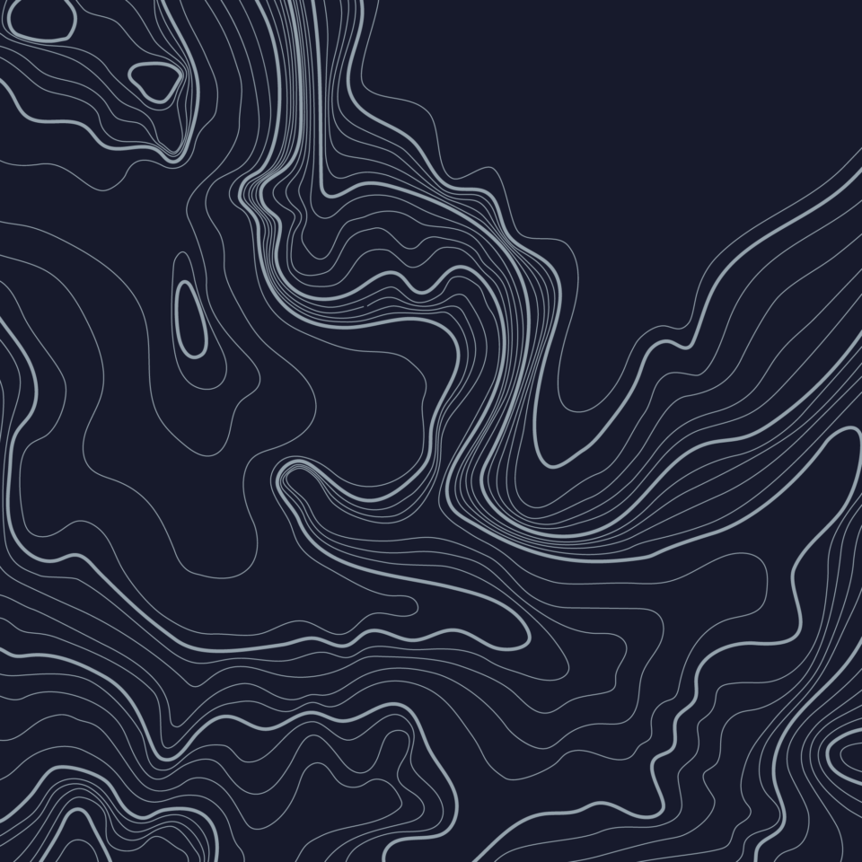 Case Studies Archive | MadeBrave®